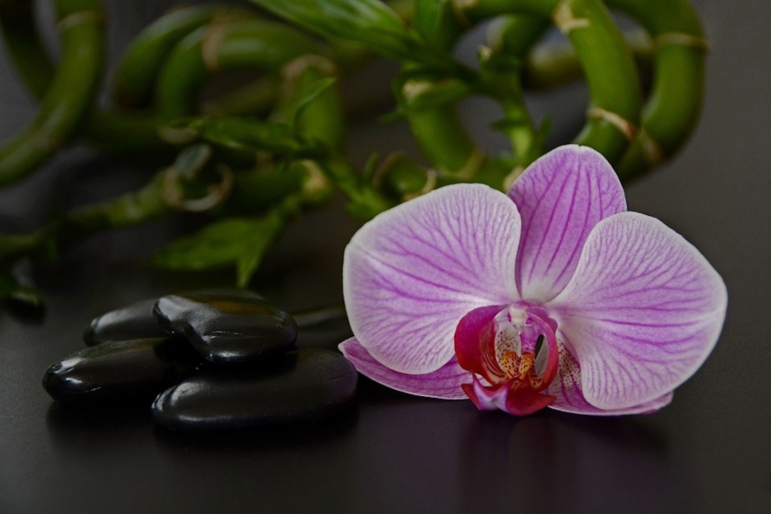 Supranee Traditional Thai & Remedial Massage - Highfields